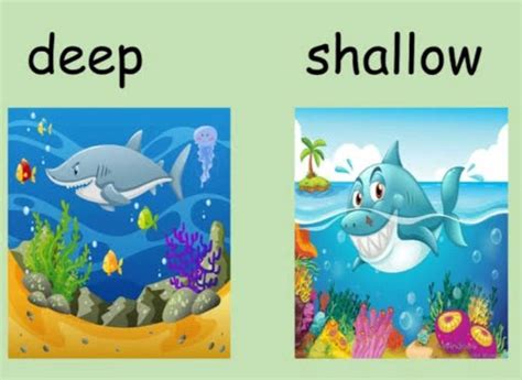 python coding deepcopy shallowcopy developers programmingtips merin r
