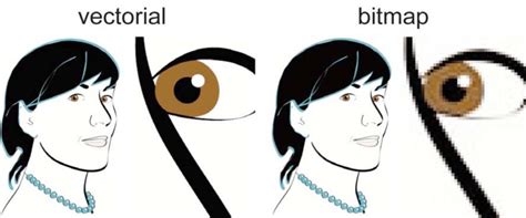 Vector Compare At Collection Of Vector Compare Free