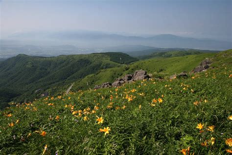 野鶲のフィールドノート 霧ヶ峰