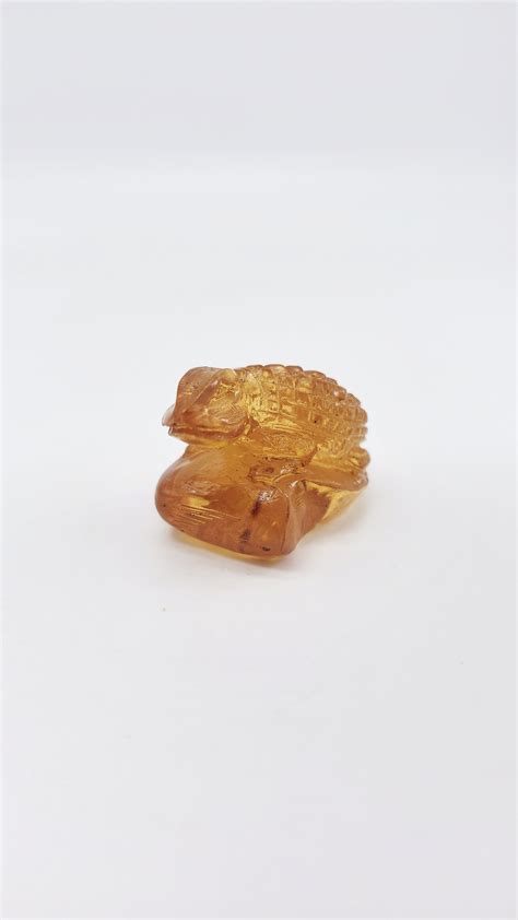 Lizard Amber Protection And Regeneration Combined Bernstein RÜgen