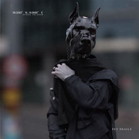 Check Your Spam Folder Artwork Mask