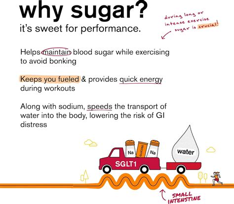 Skratch Labs Hydration Packets Raspberry Limeade India Ubuy