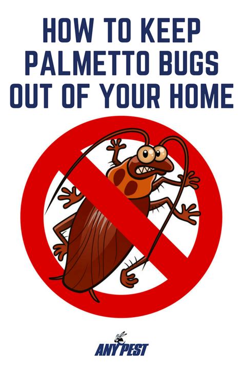 Palmetto Bugs Aka American Cockroaches Have Been Infesting Many