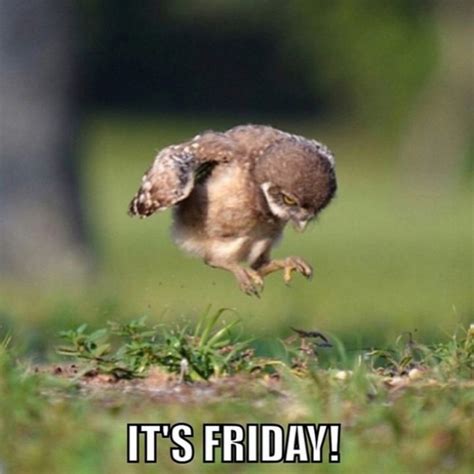 Funny Friday Work Memes 2025 Jamie Sawyer