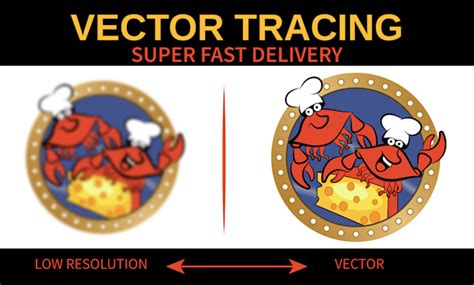 manual vector tracing recreate cleanup image to vector by md vector