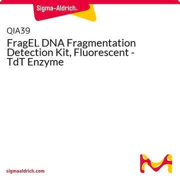 Tdt Sigma Aldrich