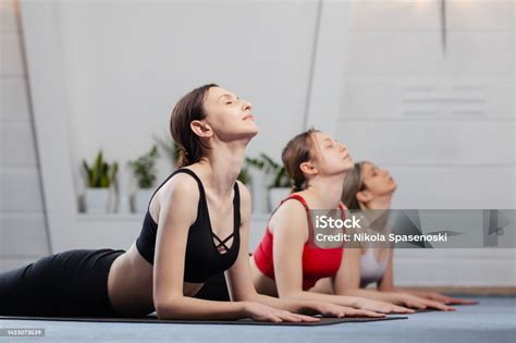 요가를 연습하는 세 소녀 스튜디오에서 명상하는 학생들과 함께 요가 강사 18 19세에 대한 스톡 사진 및 기타 이미지 18 19세 25 29세 가정의 방 Istock