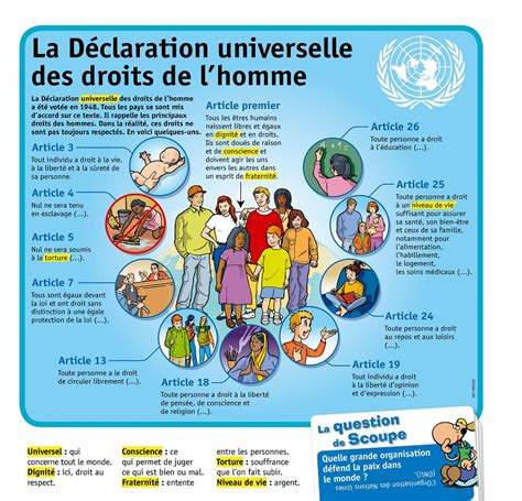 Tics En Fle Droits De Lhomme Histoire Infographie Ressources