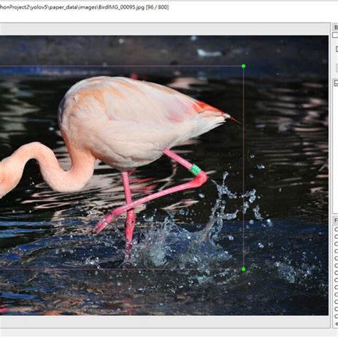 labelimg software labeling tool download scientific diagram