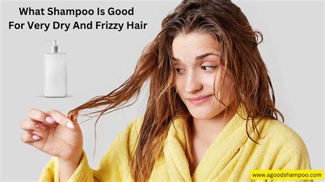 What Shampoo Is Good For Very Dry And Frizzy Hair A Good Shampoo