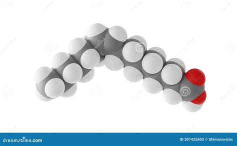 Palmitoleic Acid Molecule Omega 7 Molecular Structure Isolated 3d Model Van Der Waals Royalty