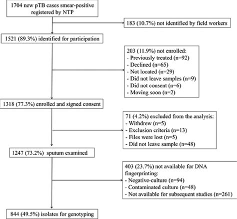 Patient Enrollment Flowchart Ptb Pulmonary Tb Download Scientific