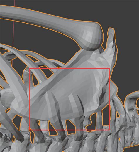 Issue With Intersection Of Segments In Exported Skeleton Model And