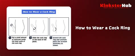 How To Put On And Wear A Cock And Ball Ring Safely Kinksterhub Blog