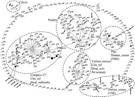 Emergence Of Clonal Complex 17 Enterococcus Faecium In The Netherlands Journal Of Clinical