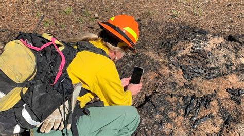 Cedar Creek Fire Burned Area Emergency Response Final Assessments Now
