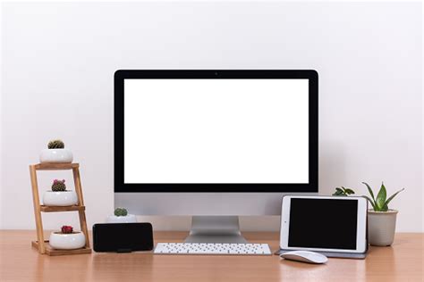 하나의 컴퓨터 마우스 키보드 스마트 폰 태블릿 선인장 화분 및 화분 꽃병 0명에 대한 스톡 사진 및 기타 이미지 0명 건강