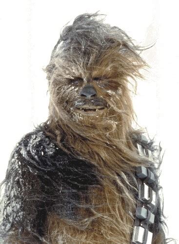 Leia Aayla And Chewbacca Princess Leia Aayla Secura And Chewbacca