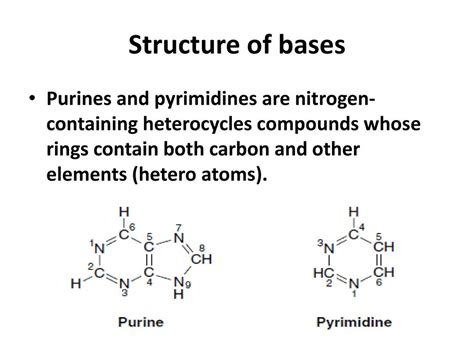 Purine Vs Pyrimidine Structure