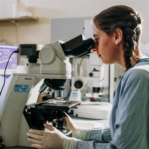 Sahmri Cell Function