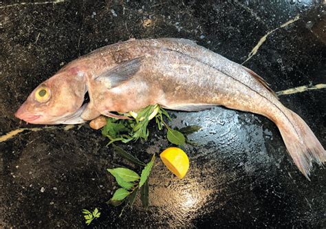 Salt Encrusted Whole Fish