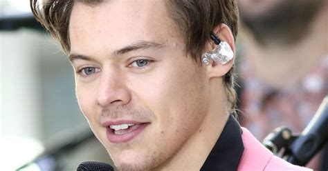 Harry Styles Refuses To Label His Sexuality Stating Hes ‘never Felt