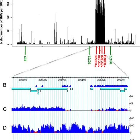Snp Density And Coverage Plots For Chromosome 6 A Snp Density Plot Of