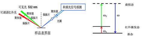 东南大学卢晓林研究员课题组在界面吸附高分子链的结构研究中取得进展中国聚合物网科教新闻