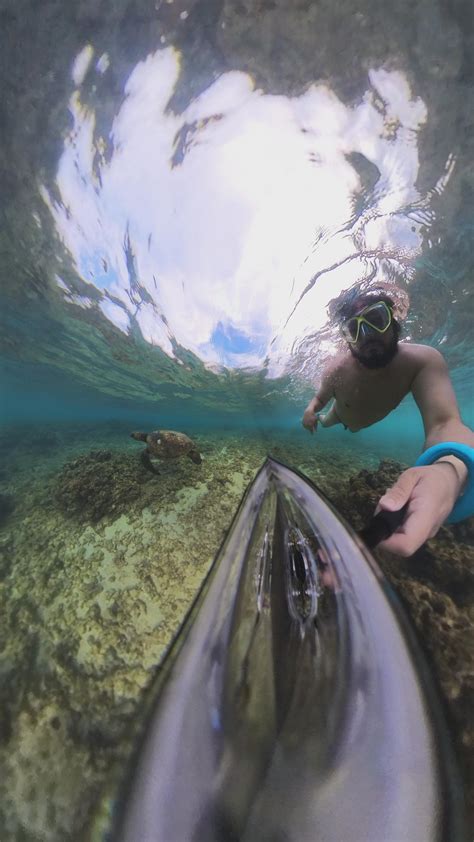 Snorkeling Naked In Hawaii Getting To Swim With Turtles Naked