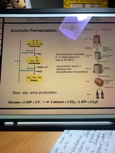 23 Flashcards Quizlet