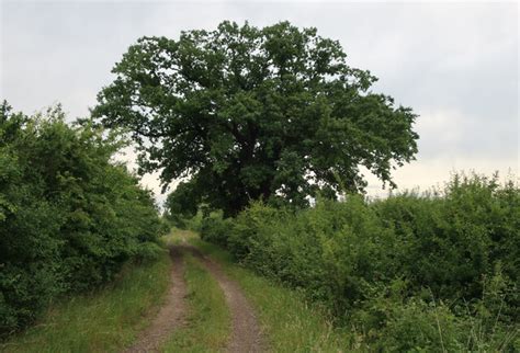 Rampton Drift © Hugh Venables Geograph Britain And Ireland