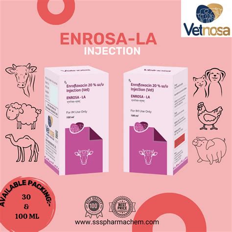 100ml Enrofloxacin Injection Packaging Type Box At Rs 1201 In Ahmedabad