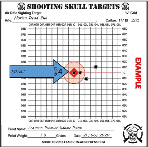 How To Zero A Rifle Scope Shooting Skull Targets Worksheets Library