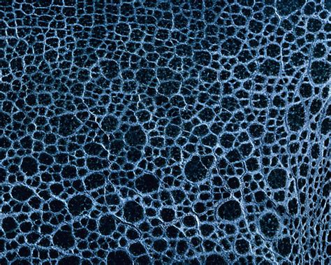 Buff Texture Background Images Hd Pictures And Wallpaper For Free