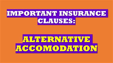 Understanding Important Insurance Clauses Alternative Accommodation
