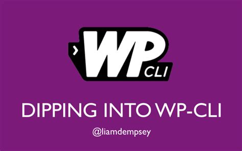 The Power Of Wp Cli Liam Dempsey