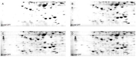 Protein Solubilization For 2 D Electrophoresis Bio Rad