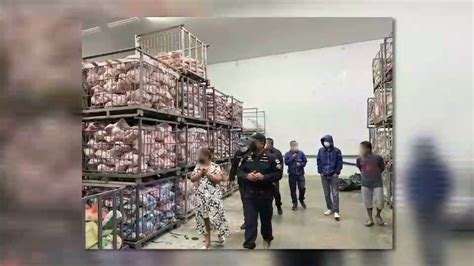 กรมปศุสัตว์ประกาศสงครามดักจับทุกทิศทางขวนการค้า “หมูเถื่อน” Thairemark