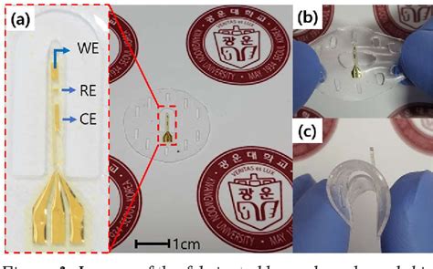 figure 3 from skin attachable and implantable polymer microneedle