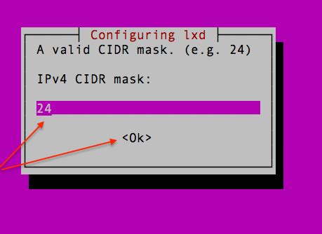 How To Install Lxd Container Hypervisor On Ubuntu Lts Nixcraft