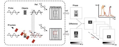 Bond Selective Transient Phase Imaging Via Sensing Of The Infrared