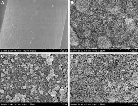 SeM Images Of Various Cotton Fabrics Notes A Pristine Cotton B