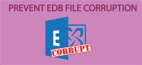 Causes Of Exchange Database Edb Corruption Its Prevention