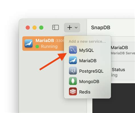 Running Multiple Mysql Versions On Macos A Step By Step Guide Dev