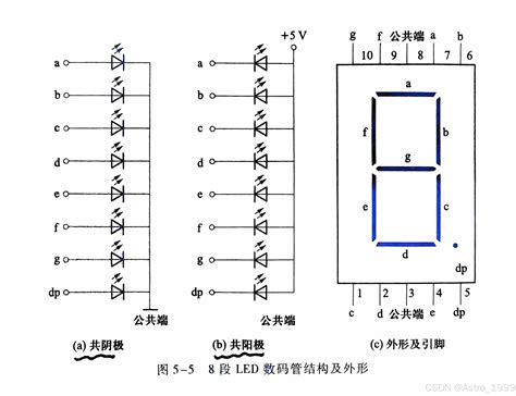 单片机复习 实验二 数码管的静态和动态显示方法、矩阵式键盘扫描 数码管动态扫描显示电路设计 csdn博客