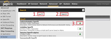 Running Iperf3 Server On An Edge Computing Capable Peplink Router