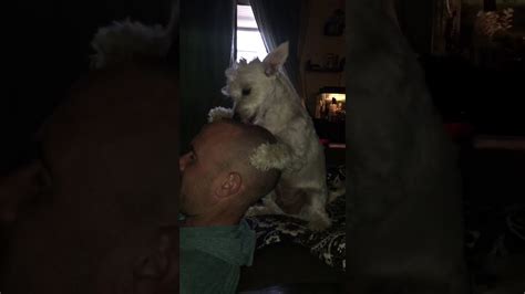 George Licking Daddys Head Youtube