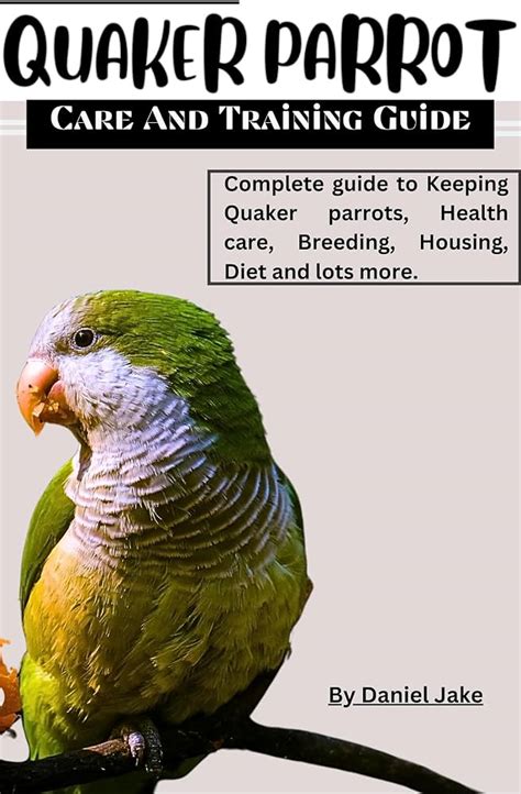 Parrot Care Sheet