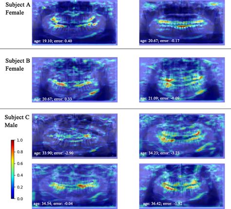 The Heatmaps Of Different Ages Of Three Subjects The Red Indicates