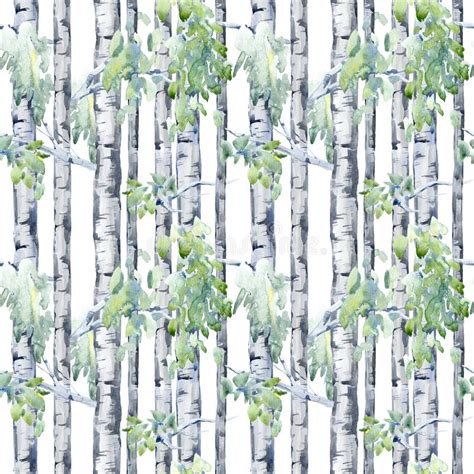 Seamless Pattern Of A Birch Tree Deciduous Tree Stock Photo Image Of